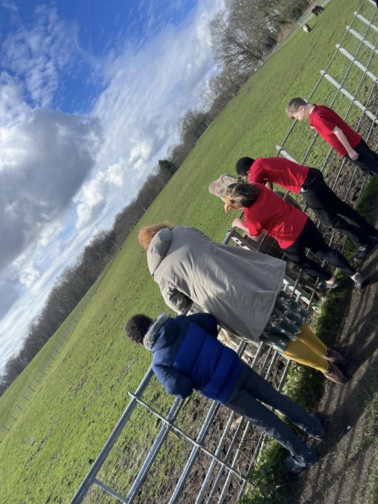 Spring Brook Academy - Home