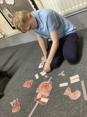 Spring Brook Academy - Science with Henley and Josh