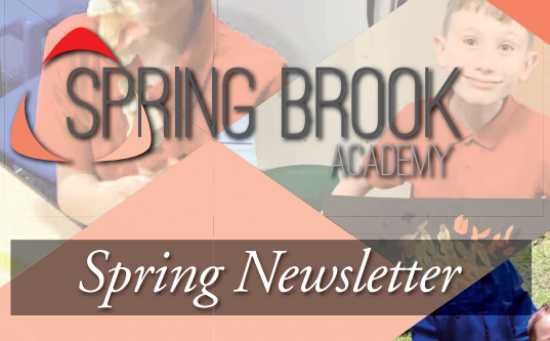 Spring Brook Academy - Home