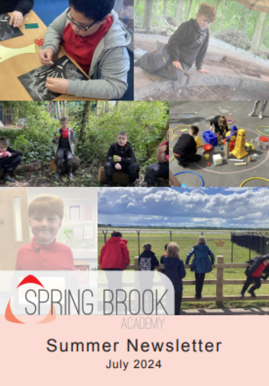 Spring Brook Academy - Home