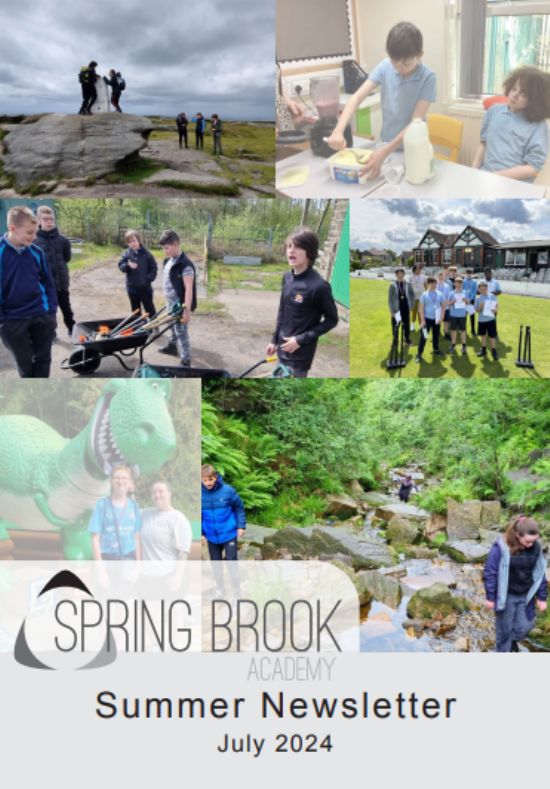 Spring Brook Academy - Home