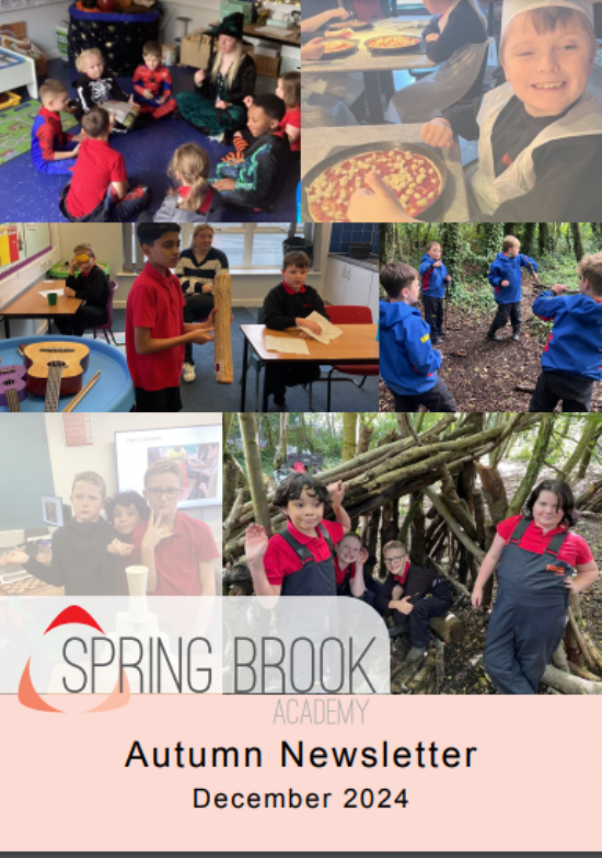Spring Brook Academy - Home