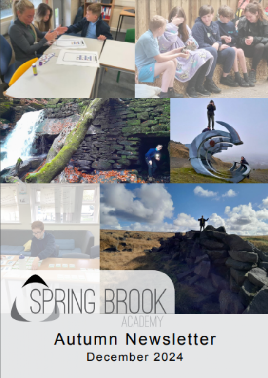 Spring Brook Academy - Home