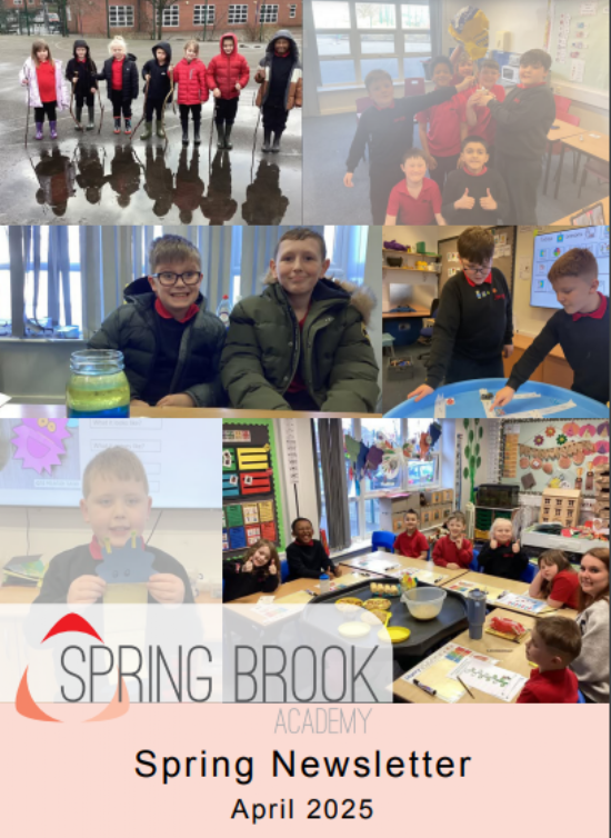 Spring Brook Academy - Home