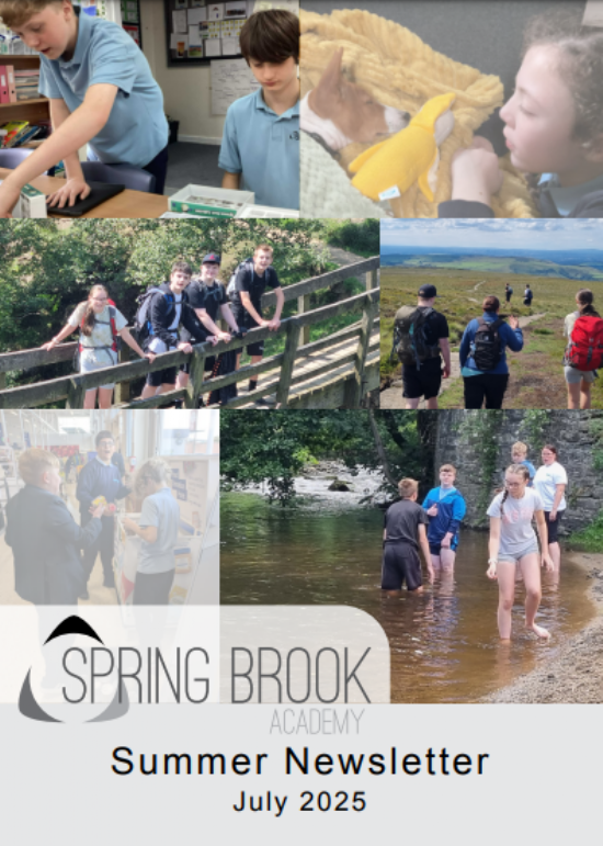 Spring Brook Academy - Home