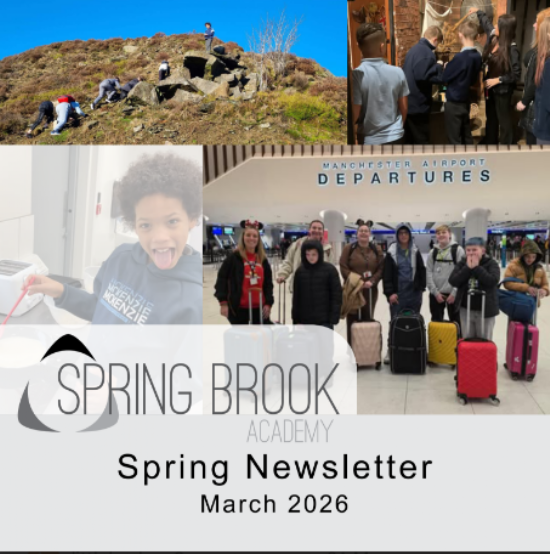 Spring Brook Academy - Home